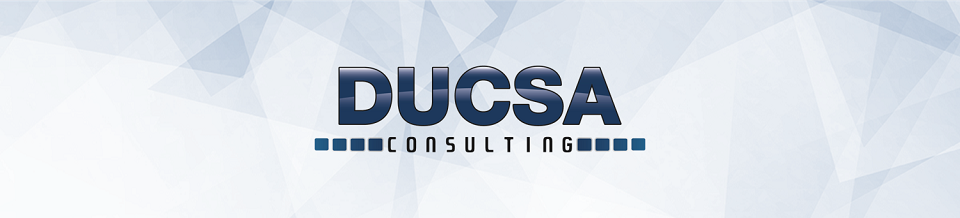 DUCSA Consulting